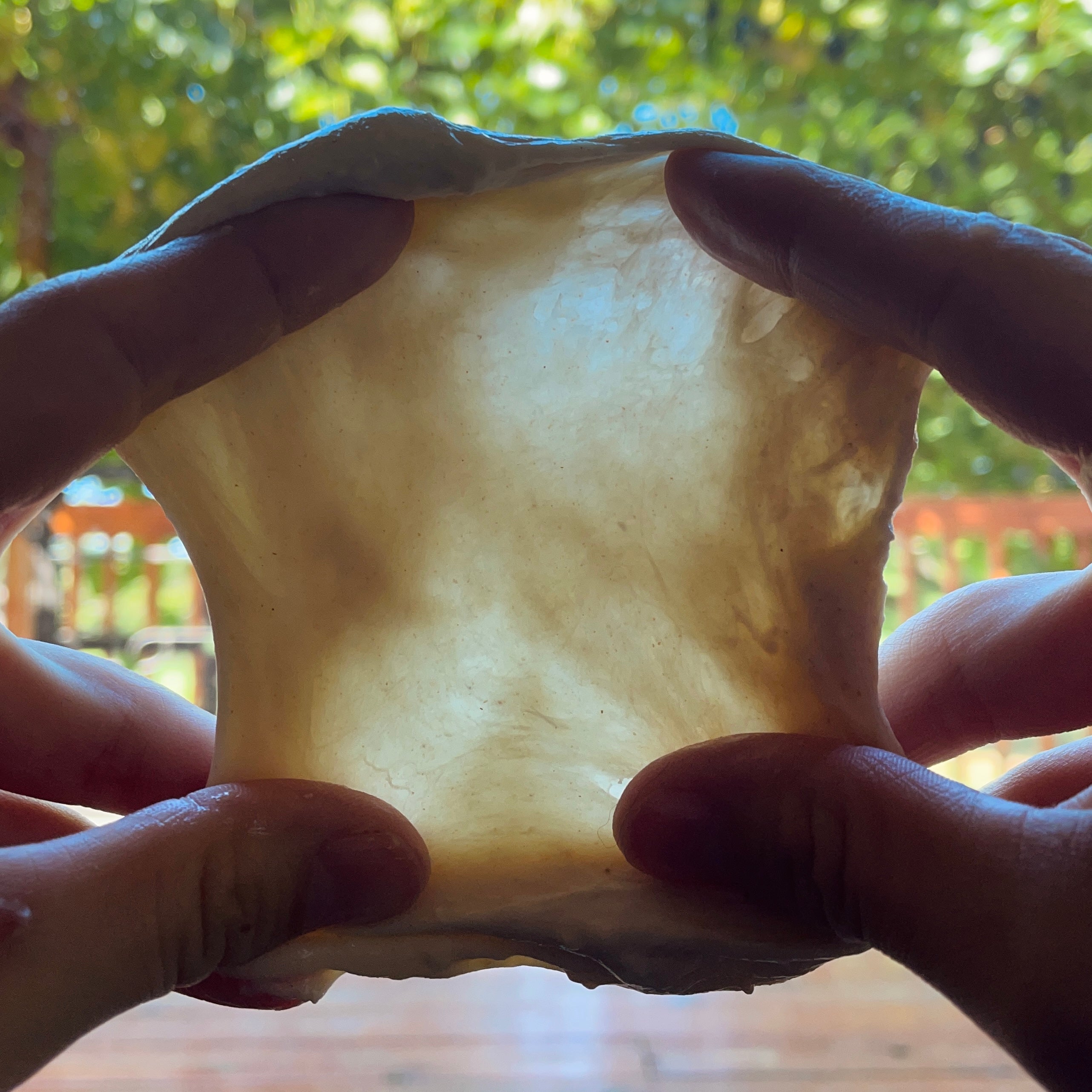 The Windowpane Test – Sunrise Flour Mill